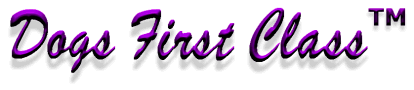 Dogs First Class - Treasures for Dog Lovers